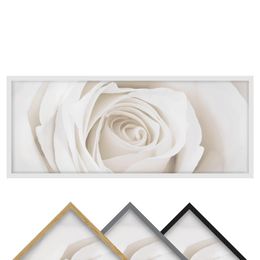Bilderwelten Bild mit Rahmen Blumen weiss Landhaus inkl. Rahmung - Pretty White Rose - Deko Wohnzimmer Schlafzimmer