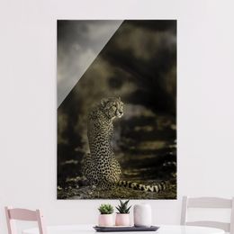 Bilderwelten Glasbild Tiere Motiv schwarz weiss Glas Wandbild - Gepard in der Wildness - Deko Wohnzimmer Schlafzimmer