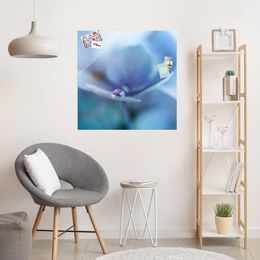 Bilderwelten Glasbild Blumen Motiv blau Glas Wandbild - Wassertropfen Hortensienbl&uuml;te - Deko Wohnzimmer Schlafzimmer