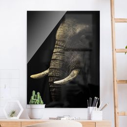 Bilderwelten Glasbild Natur Motiv schwarz weiss Glas Wandbild - Dunkles Elefanten Portrait - Landschaft Wohnzimmer Schlafzimmer