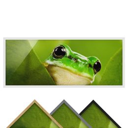 Bilderwelten Bild mit Rahmen - Panorama Wetterfrosch