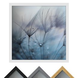 Bilderwelten Bild mit Rahmen Blumen blau Motiv inkl. Rahmung - Blaue Federn im Regen - Deko Wohnzimmer Schlafzimmer