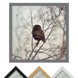Bilderwelten Bild mit Rahmen - Quadrat Eule im Winter