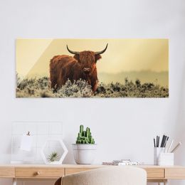 Bilderwelten Glasbild Tiere Motiv weiss Glas Wandbild - Bison in den Highlands - Deko Wohnzimmer Schlafzimmer