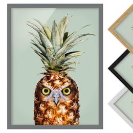 Bilderwelten Bild mit Rahmen - Hochformat Ananas mit Eule