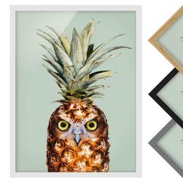 Bilderwelten Bild mit Rahmen Tiere gr&uuml;n Tropisch inkl. Rahmung - Ananas mit Eule - Obst K&uuml;che