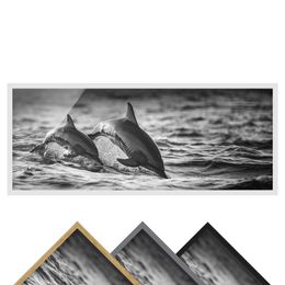 Bilderwelten Bild mit Rahmen Tiere schwarz weiss Motiv inkl. Rahmung - Zwei springende Delfine - Fische Wohnzimmer Schlafzimmer