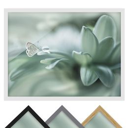 Bilderwelten Bild mit Rahmen Blumen pastell Tropisch inkl. Rahmung - Schmetterling und Tautropfen in Pastellgr&uuml;n - Pflanzen Wohnzimmer Schlafzimmer