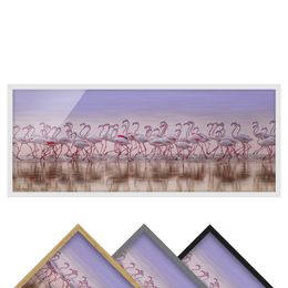 Bilderwelten Bild mit Rahmen - Panorama Flamingo Party