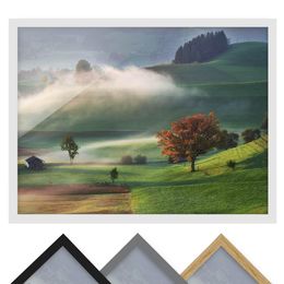 Bilderwelten Bild mit Rahmen Wald gr&uuml;n Motiv inkl. Rahmung - Nebliger Herbsttag Schweiz - B&auml;ume Wohnzimmer Schlafzimmer