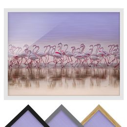 Bilderwelten Bild mit Rahmen Tiere rosa Motiv inkl. Rahmung - Flamingo Party - V&ouml;gel Wohnzimmer Schlafzimmer