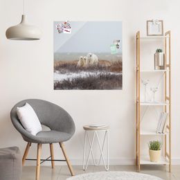 Bilderwelten Glasbild Tiere Motiv beige Glas Wandbild - Eisb&auml;rin und ihre Jungen - B&auml;r Wohnzimmer Schlafzimmer