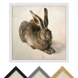 Bilderwelten Bild mit Rahmen Tiere einzigartig Vintage inkl. Rahmung - Albrecht D&uuml;rer - Junger Feldhase - Retro Wohnzimmer Schlafzimmer
