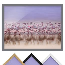 Bilderwelten Bild mit Rahmen - Querformat Flamingo Party