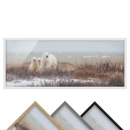 Bilderwelten Bild mit Rahmen Tiere beige Motiv inkl. Rahmung - Eisb&auml;rin und ihre Jungen - B&auml;r Wohnzimmer Schlafzimmer