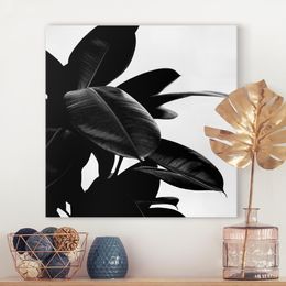 Bilderwelten Leinwandbild Tropisch Kunstdruck schwarz weiss - Gummibaum Bl&auml;tter Schwarz Wei&szlig; - Wandbild XXL Wohnzimmer Schlafzimmer