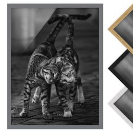 Bilderwelten Bild mit Rahmen - Hochformat K&auml;tzchenfreundschaft