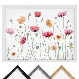 Bilderwelten Bild mit Rahmen Blumen weiss Landhaus Aquarell - Klatschmohn Party - Mohn Wohnzimmer Schlafzimmer