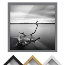 Bilderwelten Bild mit Rahmen - Quadrat Sonnenuntergang am See schwarz-wei&szlig;