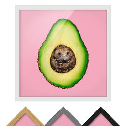 Bilderwelten Bild mit Rahmen Tiere rosa Fotomontage inkl. Rahmung - Avocado mit Igel - Obst K&uuml;che