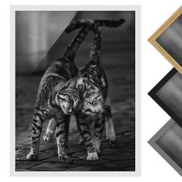 Bilderwelten Bild mit Rahmen Tiere schwarz weiss Motiv inkl. Rahmung - K&auml;tzchenfreundschaft - Katze Wohnzimmer Schlafzimmer