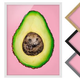 Bilderwelten Bild mit Rahmen Tiere rosa Fotomontage inkl. Rahmung - Avocado mit Igel - Obst K&uuml;che