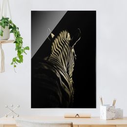 Bilderwelten Glasbild Tiere Motiv schwarz weiss Glas Wandbild - Dunkle Zebra Silhouette - Zebra Wohnzimmer Schlafzimmer