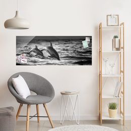 Bilderwelten Glasbild - Panorama Zwei springende Delfine