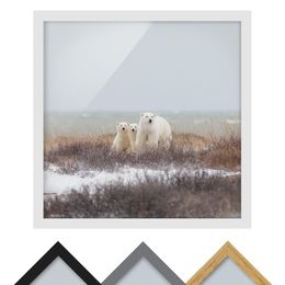 Bilderwelten Bild mit Rahmen Tiere beige Motiv inkl. Rahmung - Eisb&auml;rin und ihre Jungen - B&auml;r Wohnzimmer Schlafzimmer