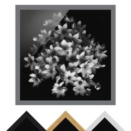 Bilderwelten Bild mit Rahmen - Quadrat Dunkler Clematis Strau&szlig;