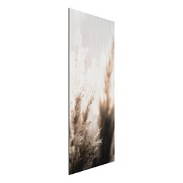 Alu Dibond Outdoor Bild - Pampasgras im Schatten - Blumen braun Landhaus wetterfest Gr&auml;ser Wohnzimmer Schlafzimmer