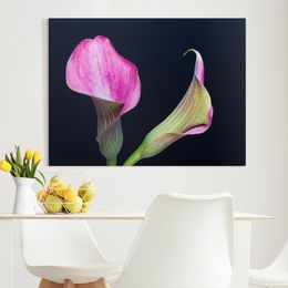 Bilderwelten Leinwandbild Calla Nahaufnahme vor Schwarz