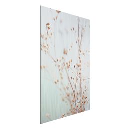 Bilderwelten Alu Dibond Outdoor Bild Blumen beige Landhaus wetterfest - Pastellknospen am Wildblumenzweig - Gr&auml;ser Wohnzimmer Schlafzimmer