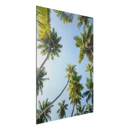 Bilderwelten Alu-Dibond Outdoor Bild Palmen Himmel