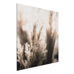 Bilderwelten Alu Dibond Outdoor Bild Blumen braun Landhaus wetterfest - Pampasgras im Schatten - Gr&auml;ser Wohnzimmer Schlafzimmer