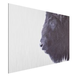 Bilderwelten Alu Dibond Outdoor Bild Tiere weiss Motiv wetterfest - Schwarzer B&uuml;ffel im Portrait - Deko Wohnzimmer Schlafzimmer