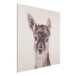 Bilderwelten Alu Dibond Outdoor Bild Tiere braun Motiv wetterfest - Reh Kitz Portrait - Deko Kinderzimmer Baby M&auml;dchen Jungen