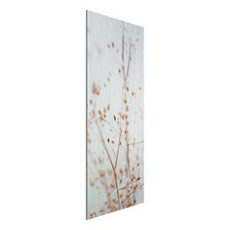 Bilderwelten Alu Dibond Outdoor Bild Blumen beige Landhaus wetterfest - Pastellknospen am Wildblumenzweig - Gr&auml;ser Wohnzimmer Schlafzimmer