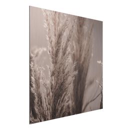Alu Dibond Outdoor Bild - Pampasgras im Sp&auml;therbst - Blumen braun Landhaus wetterfest Gr&auml;ser Wohnzimmer Schlafzimmer