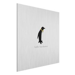 Bilderwelten Alu Dibond Outdoor Bild Spr&uuml;che schwarz weiss modern wetterfest - Pinguin Zitat Hello Handsome - Motivation Jugendzimmer