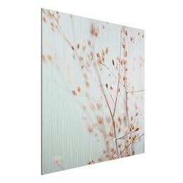 Bilderwelten Alu Dibond Outdoor Bild Blumen beige Landhaus wetterfest - Pastellknospen am Wildblumenzweig - Gr&auml;ser Wohnzimmer Schlafzimmer