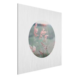Bilderwelten Alu Dibond Outdoor Bild Blumen gr&uuml;n Fotomontage wetterfest - Pinke Blumen im Kreis - Blumenwiese Wohnzimmer Schlafzimmer