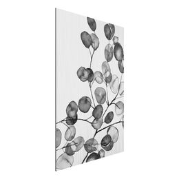 Bilderwelten Alu Dibond Outdoor Bild originell schwarz weiss Tropisch Aquarell - Schwarz Wei&szlig; Aquarell Eukalyptuszweig - Pflanzen Wohnzimmer Schlafzimmer