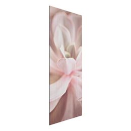Alu Dibond Outdoor Bild - Rosane Sukkulentenbl&uuml;te - Blumen rosa Motiv wetterfest Deko Wohnzimmer Schlafzimmer