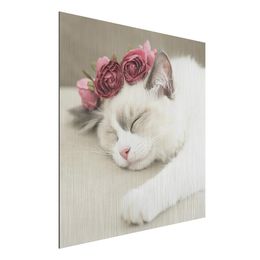 Alu Dibond Outdoor Bild - Schlafende Katze mit Rosen - Tiere weiss Motiv wetterfest Rose Kinderzimmer Baby M&auml;dchen Jungen