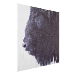 Alu Dibond Outdoor Bild - Schwarzer B&uuml;ffel im Portrait - Tiere weiss Motiv wetterfest Deko Wohnzimmer Schlafzimmer