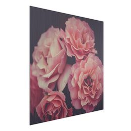 Alu Dibond Outdoor Bild - Rosentr&auml;ume - Blumen rosa Landhaus wetterfest Rose Wohnzimmer Schlafzimmer