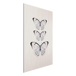 Bilderwelten Alu Dibond Outdoor Bild Tiere beige Illustration wetterfest - Schmetterling auf Beige - Schmetterlinge Wohnzimmer Schlafzimmer