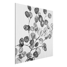 Alu Dibond Outdoor Bild - Schwarz Wei&szlig; Aquarell Eukalyptuszweig - originell schwarz weiss Tropisch Aquarell Pflanzen Wohnzimmer Schlafzimmer