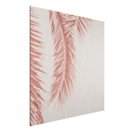 Bilderwelten Alu Dibond Outdoor Bild Natur rosa Tropisch wetterfest - Rosegoldene Palmenbl&auml;tter - Palme Wohnzimmer Schlafzimmer